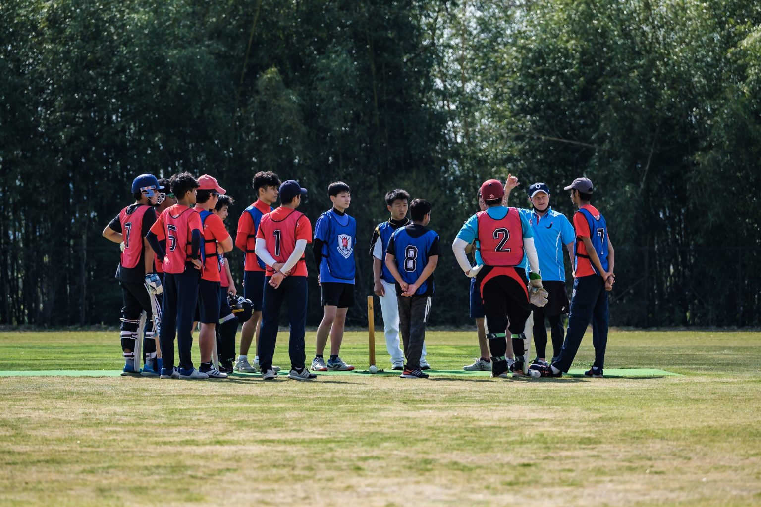 Japan Cricket Association Alan Curr Page 17